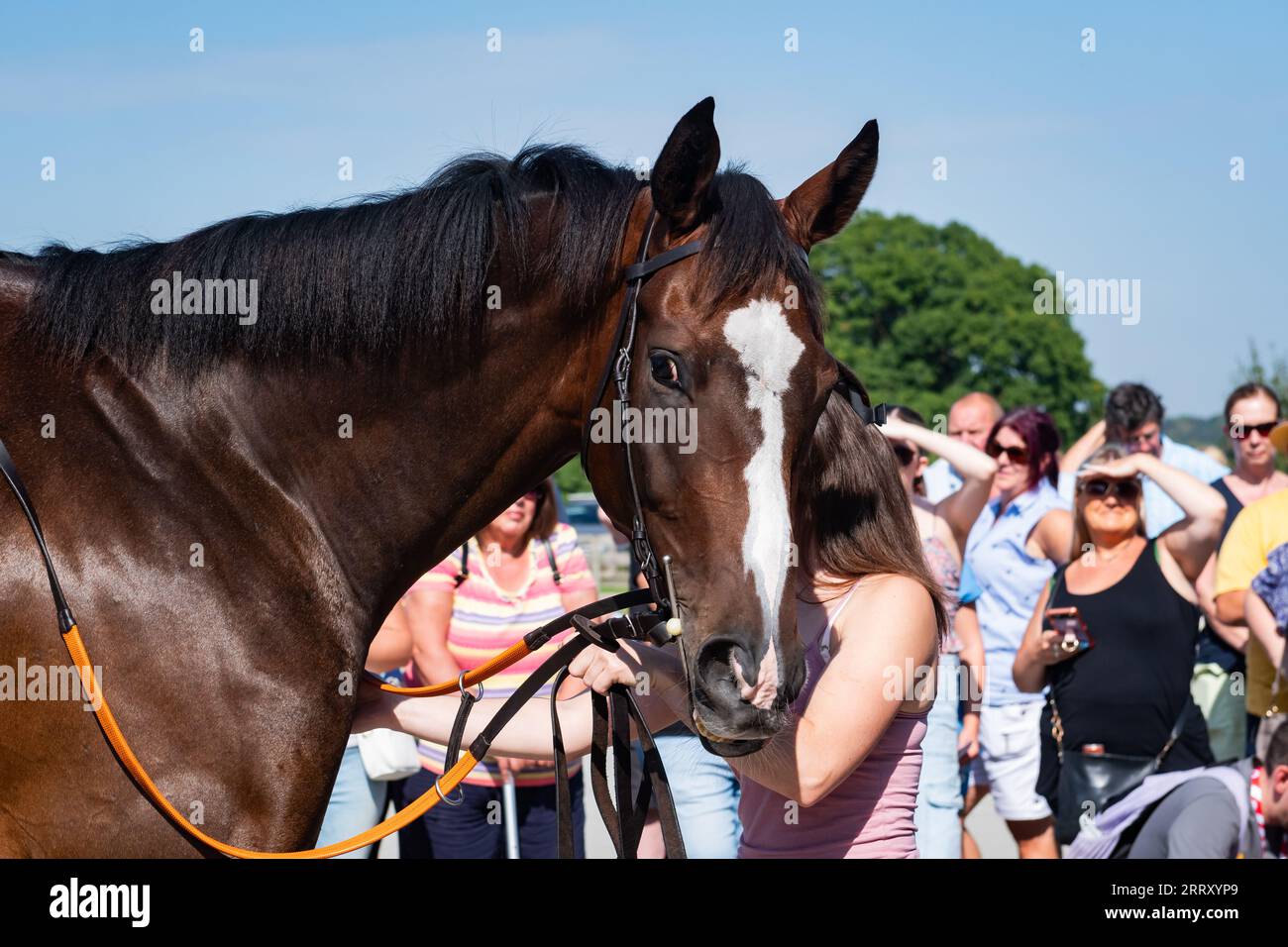 Stockton hall malpas hi-res stock photography and images - Alamy