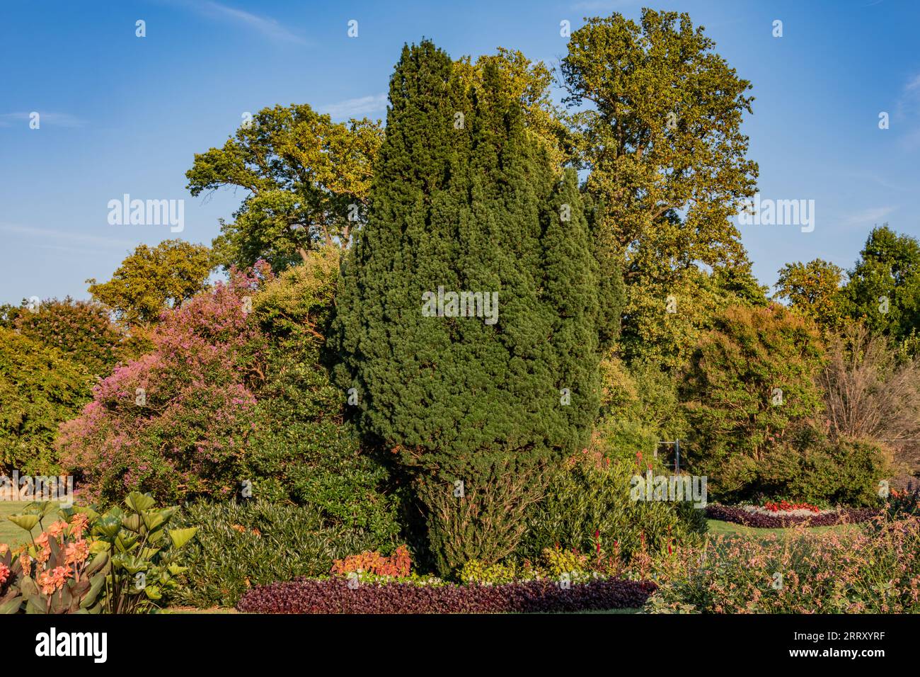 Rawlings botanical gardens hi-res stock photography and images - Alamy