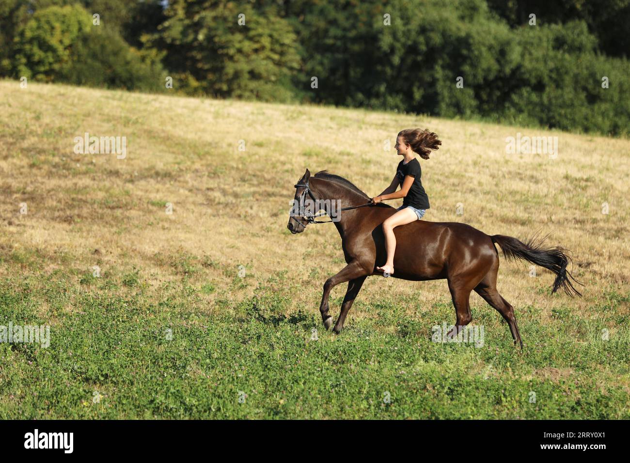 Nice young girl galopping on sport pony through meadow in summer ...