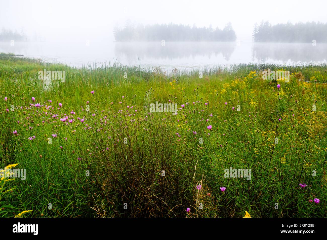 Canoeing in the Adirondack Mountains of New York State, USA, Essex ...