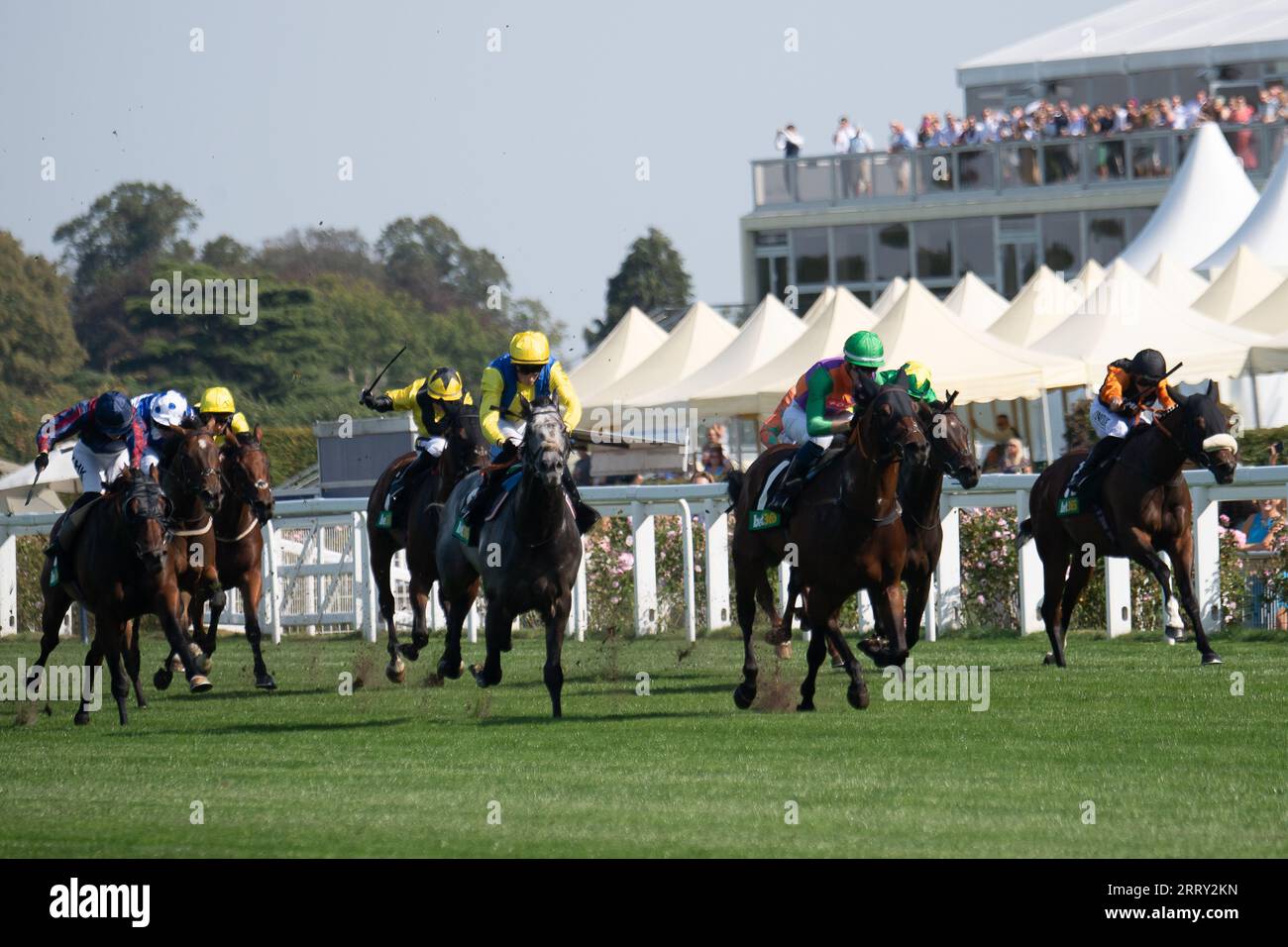 Stuart williams horse hi-res stock photography and images - Alamy