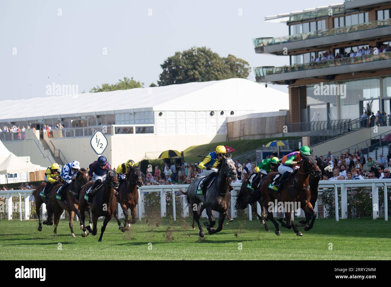 Stuart williams horse hi-res stock photography and images - Alamy