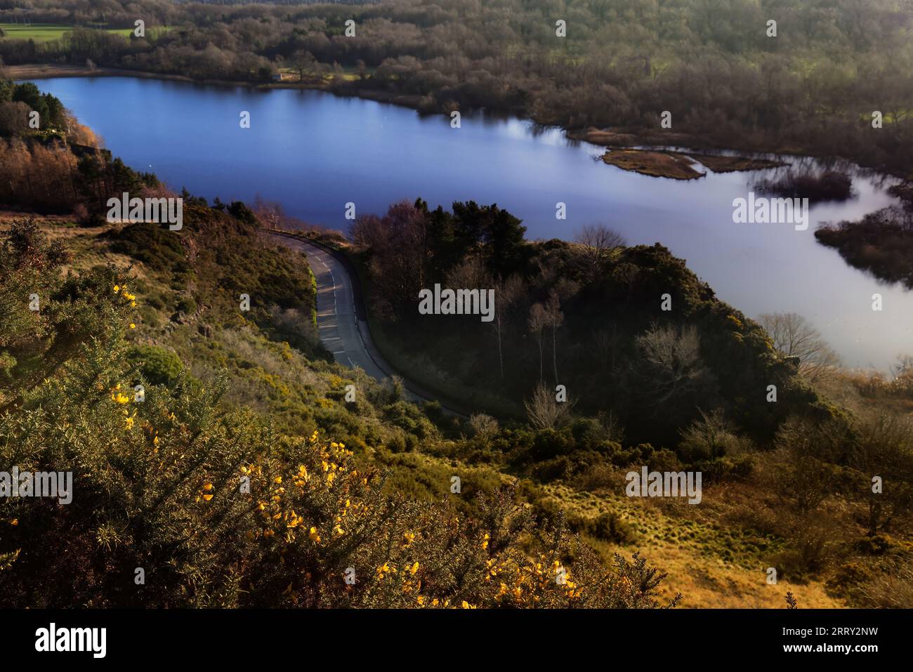 Diagonal paths hi-res stock photography and images - Alamy