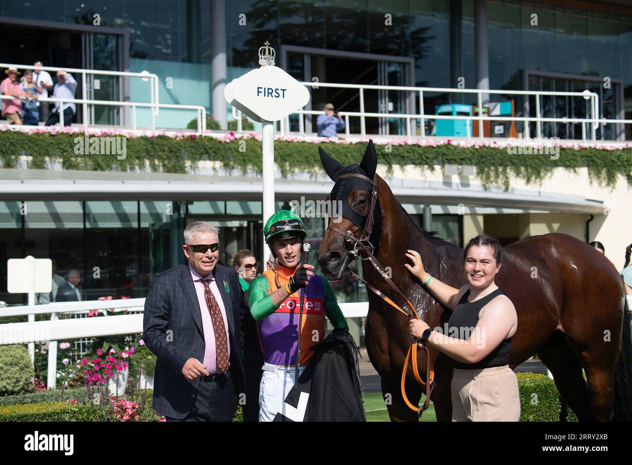 Stuart williams horse hi-res stock photography and images - Alamy