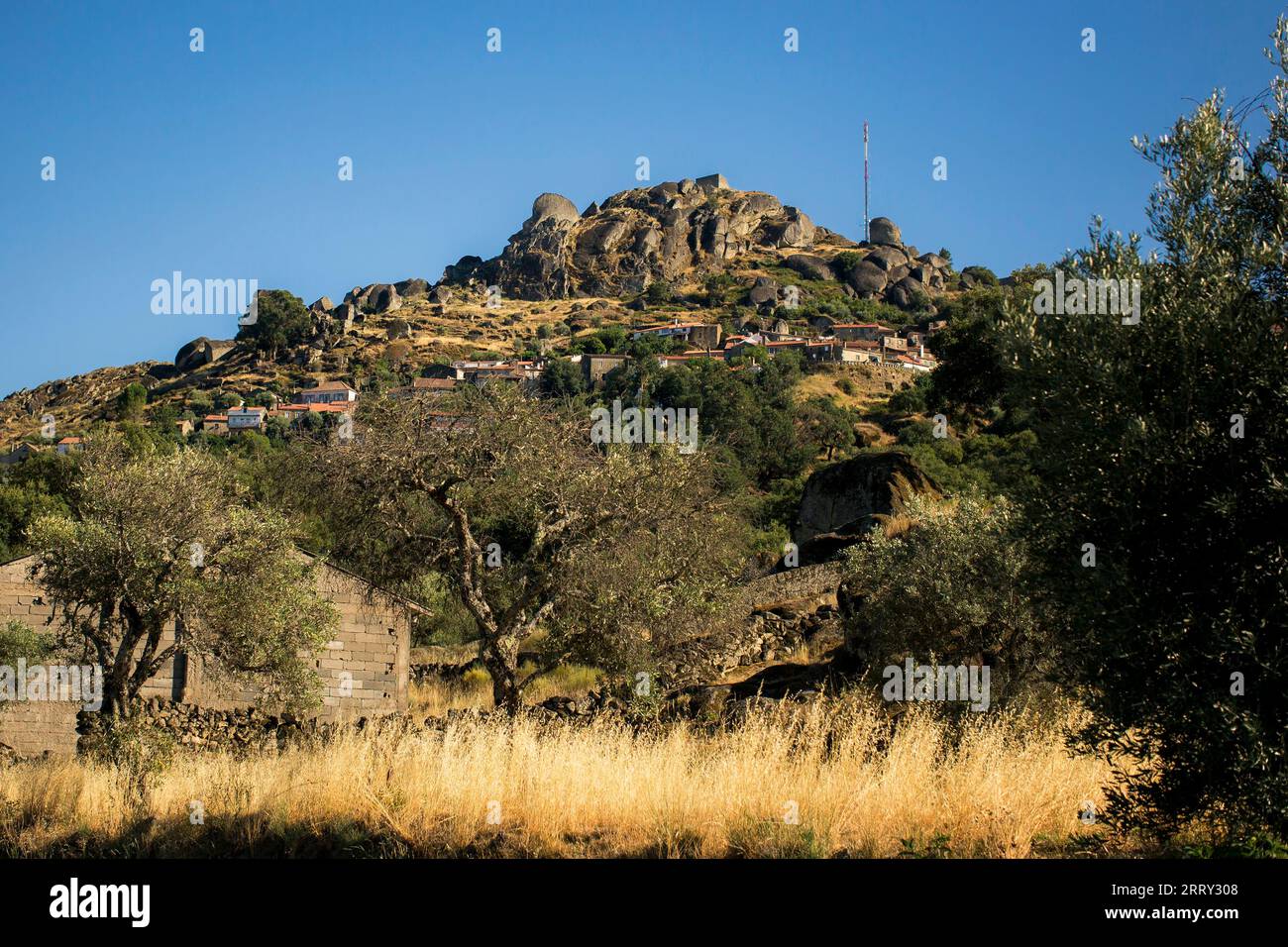 Monsanto history hi-res stock photography and images - Alamy