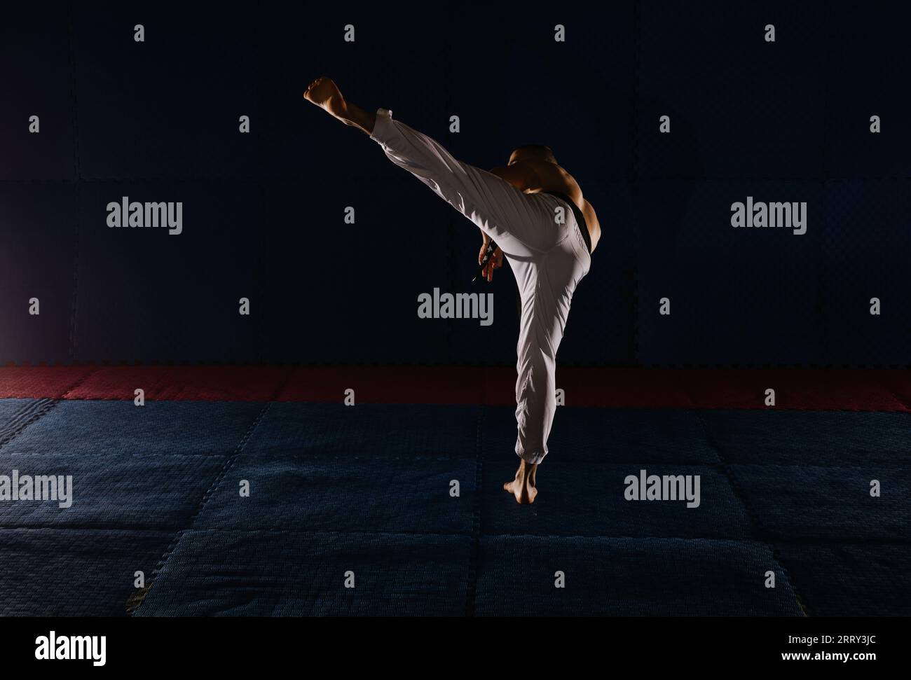 Silhouette of good looking young man doing the Ushiro Geri at the ...