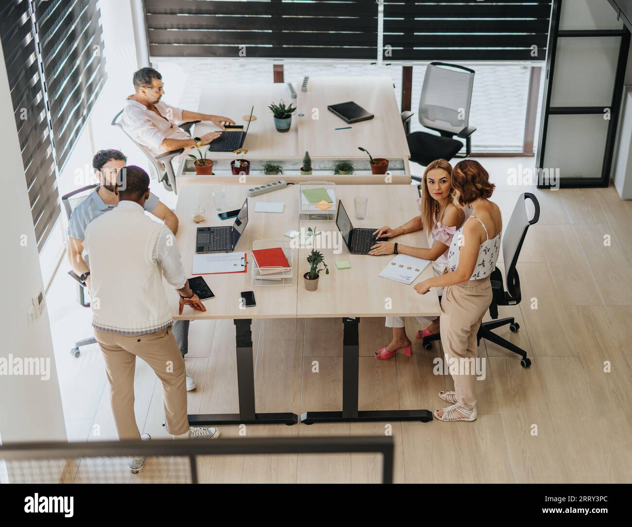 Mixed race, inter-generational business team working at the office ...