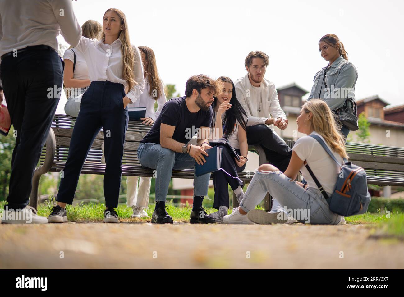 Students sitting out in the park discussing school subject. Studying in ...