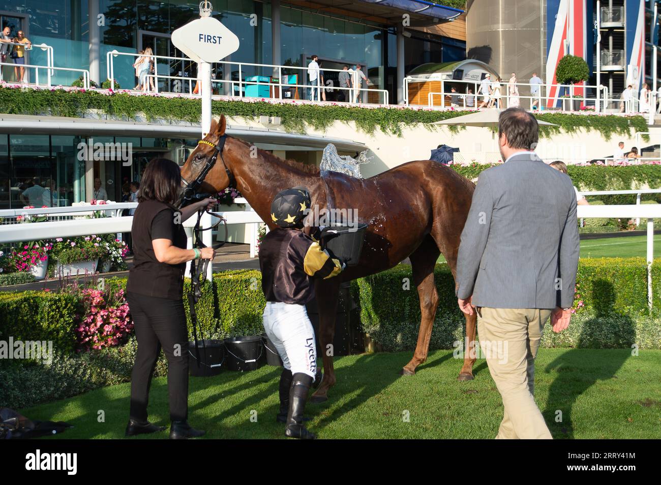 Ascot, Berkshire, UK. 9th September, 2023. Horse Call Me Ginger ridden ...