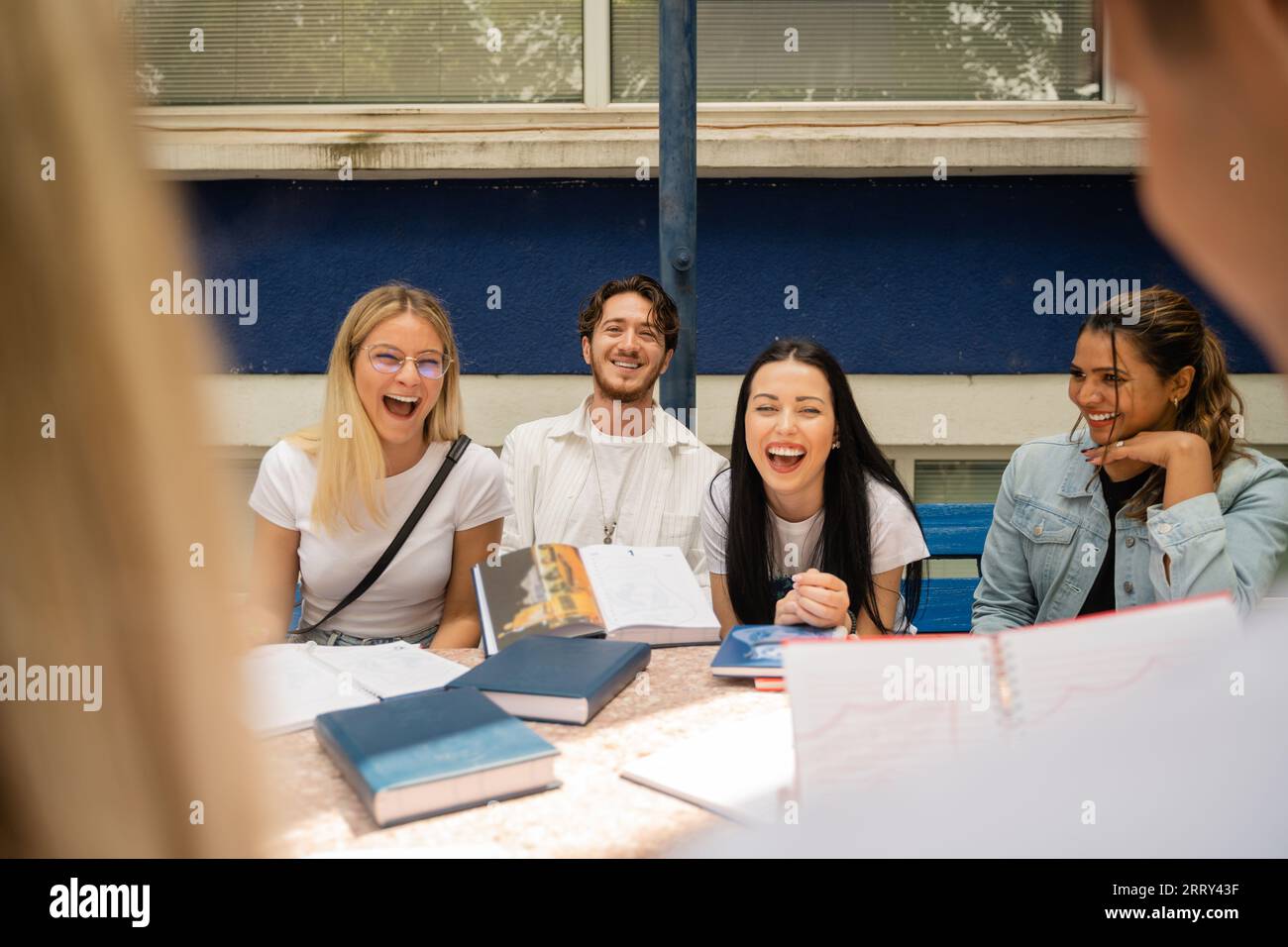 Multicultural Students Engaged in Collaborative Discussion on Campus ...