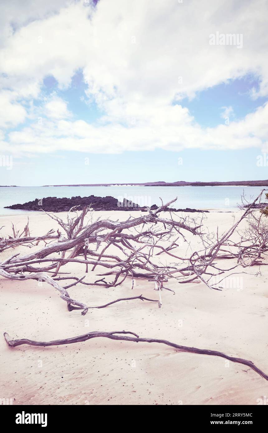 Beach on a beautiful uninhabited island, selective focus, color toning ...