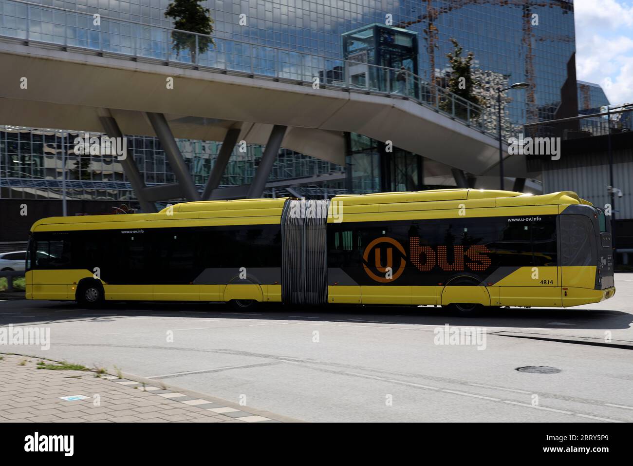 Articulated city bus in yellow colour of U-OV in the city of Utrecht ...