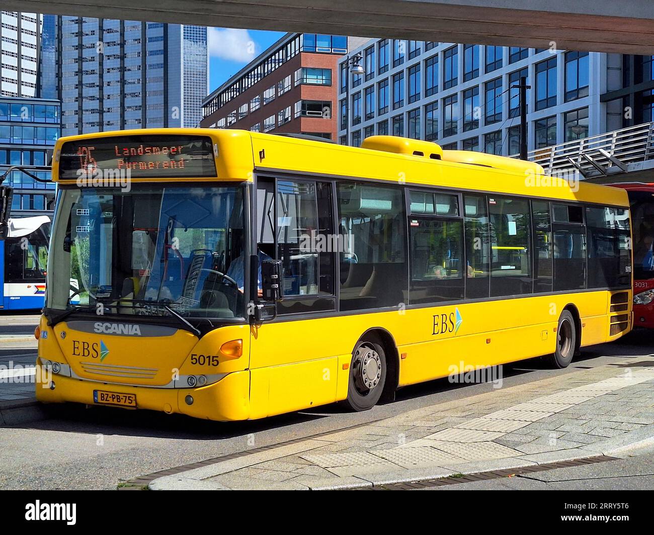 Yellow Scania Omnilink bus runned by EBS The Netherlands at Amsterdam ...