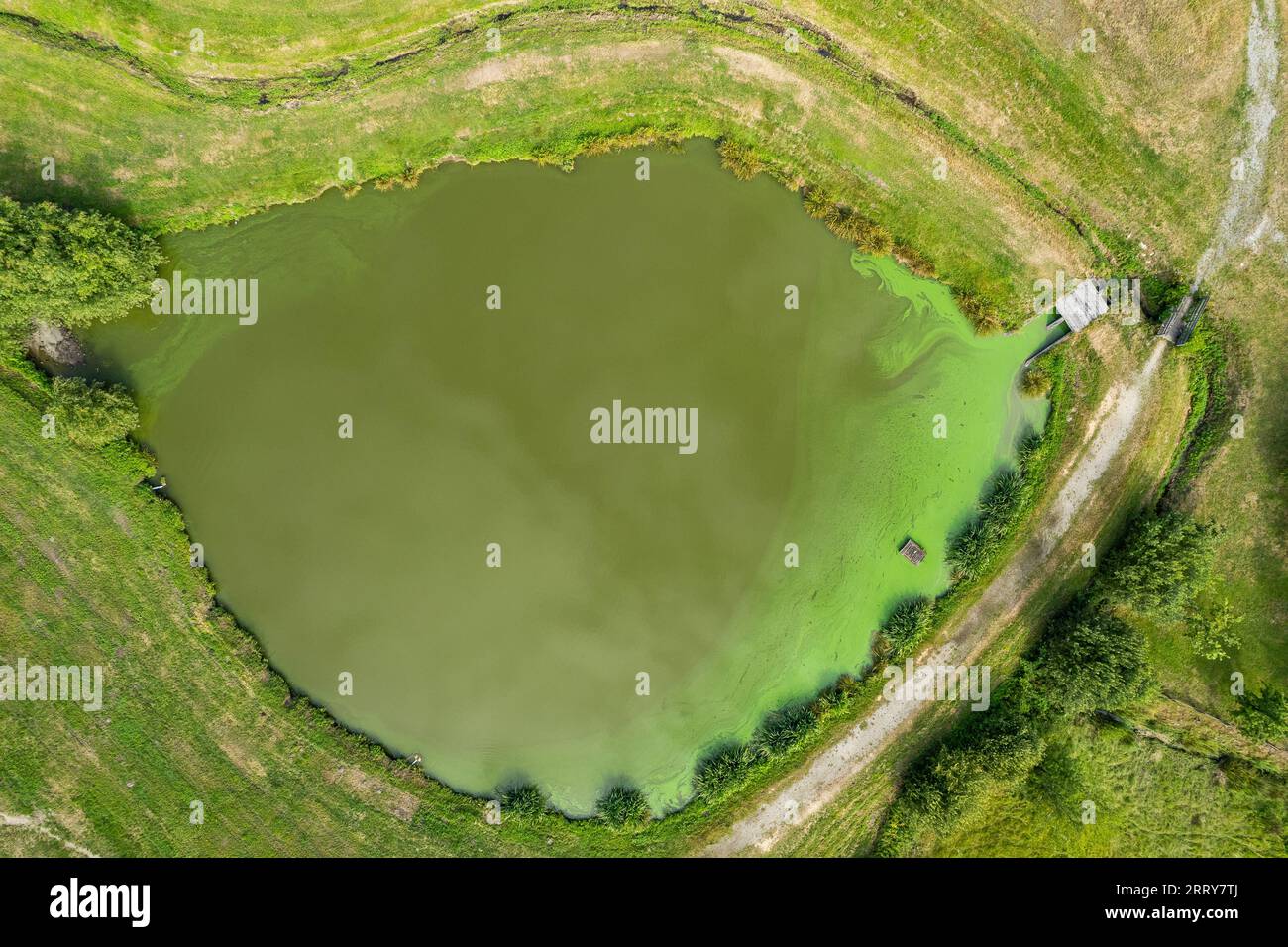 Shape of eye hi-res stock photography and images - Alamy