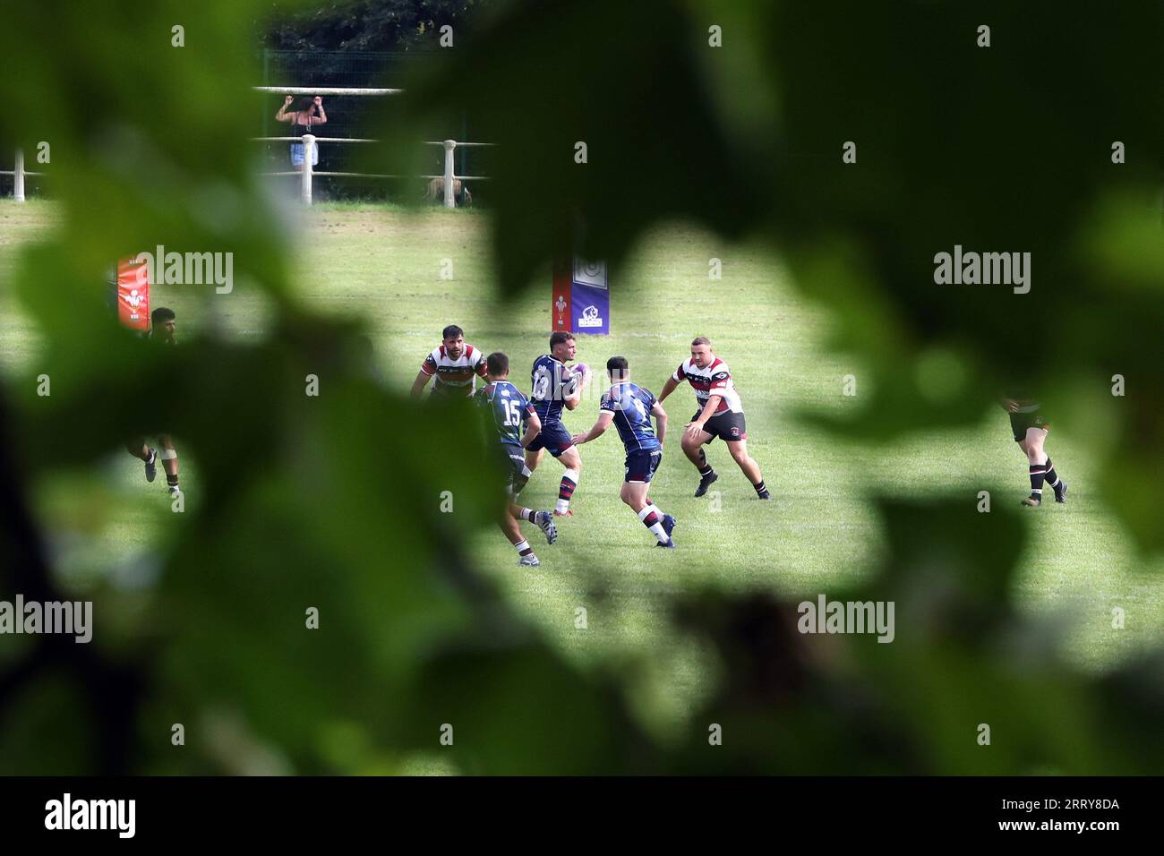 1991 rugby world cup hi-res stock photography and images - Alamy