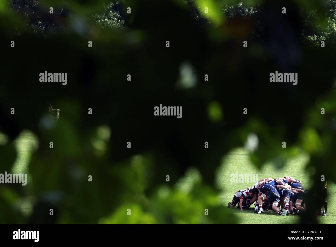 Pontypool rfc hi-res stock photography and images - Alamy