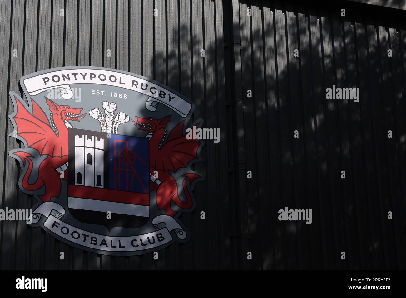 1991 rugby world cup hi-res stock photography and images - Alamy