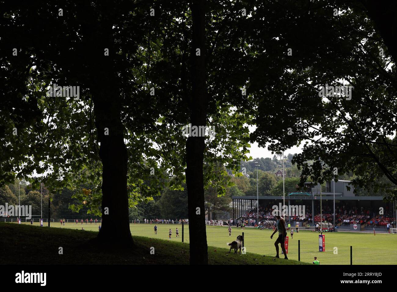 1991 rugby world cup hi-res stock photography and images - Alamy