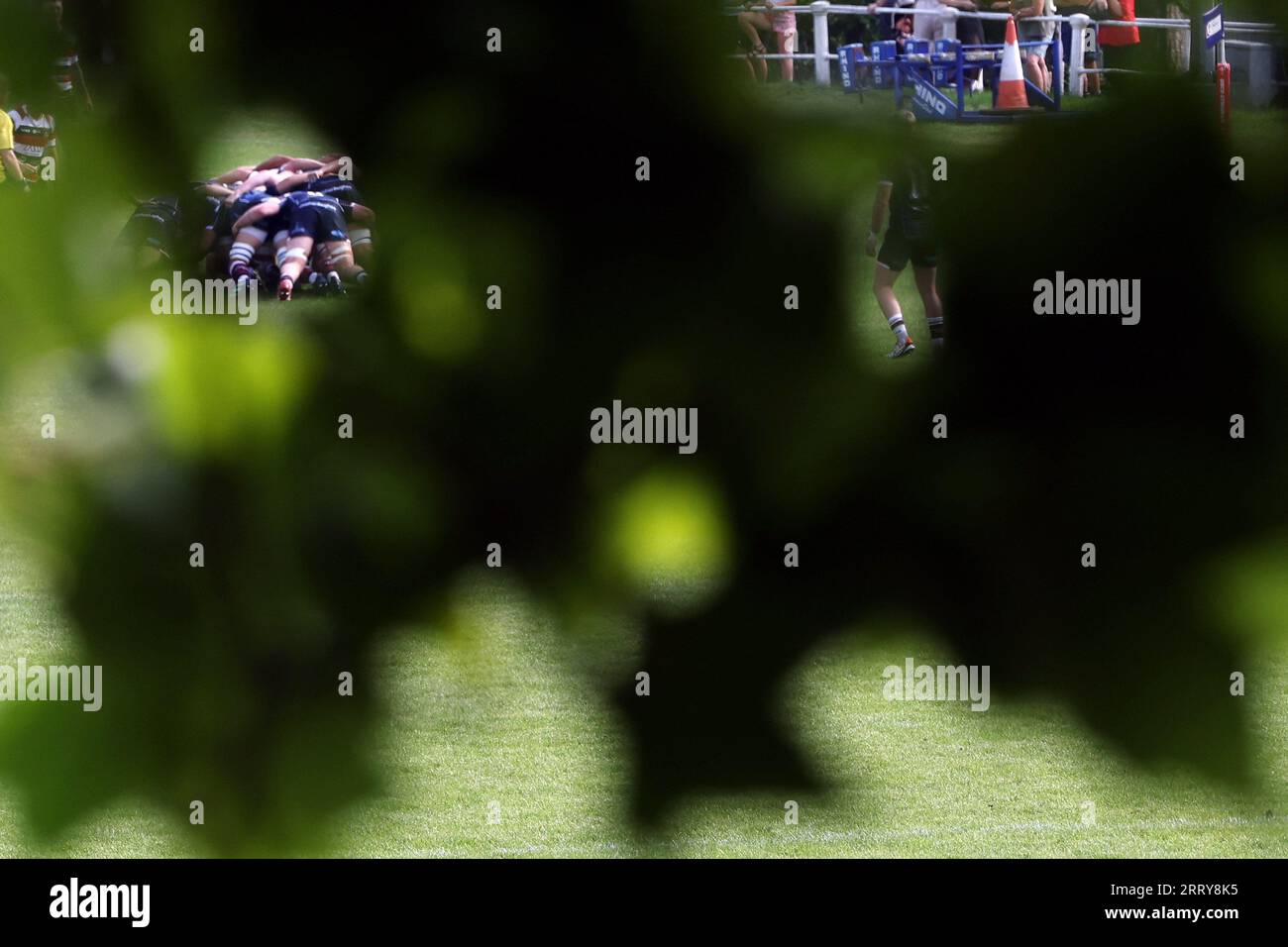 Pontypool rfc hi-res stock photography and images - Alamy