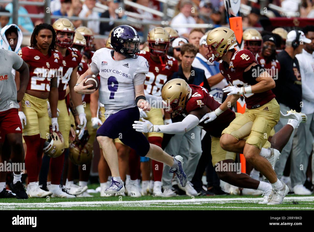 CHESTNUT HILL, MA - SEPTEMBER 09: Holy Cross Crusaders quarterback ...