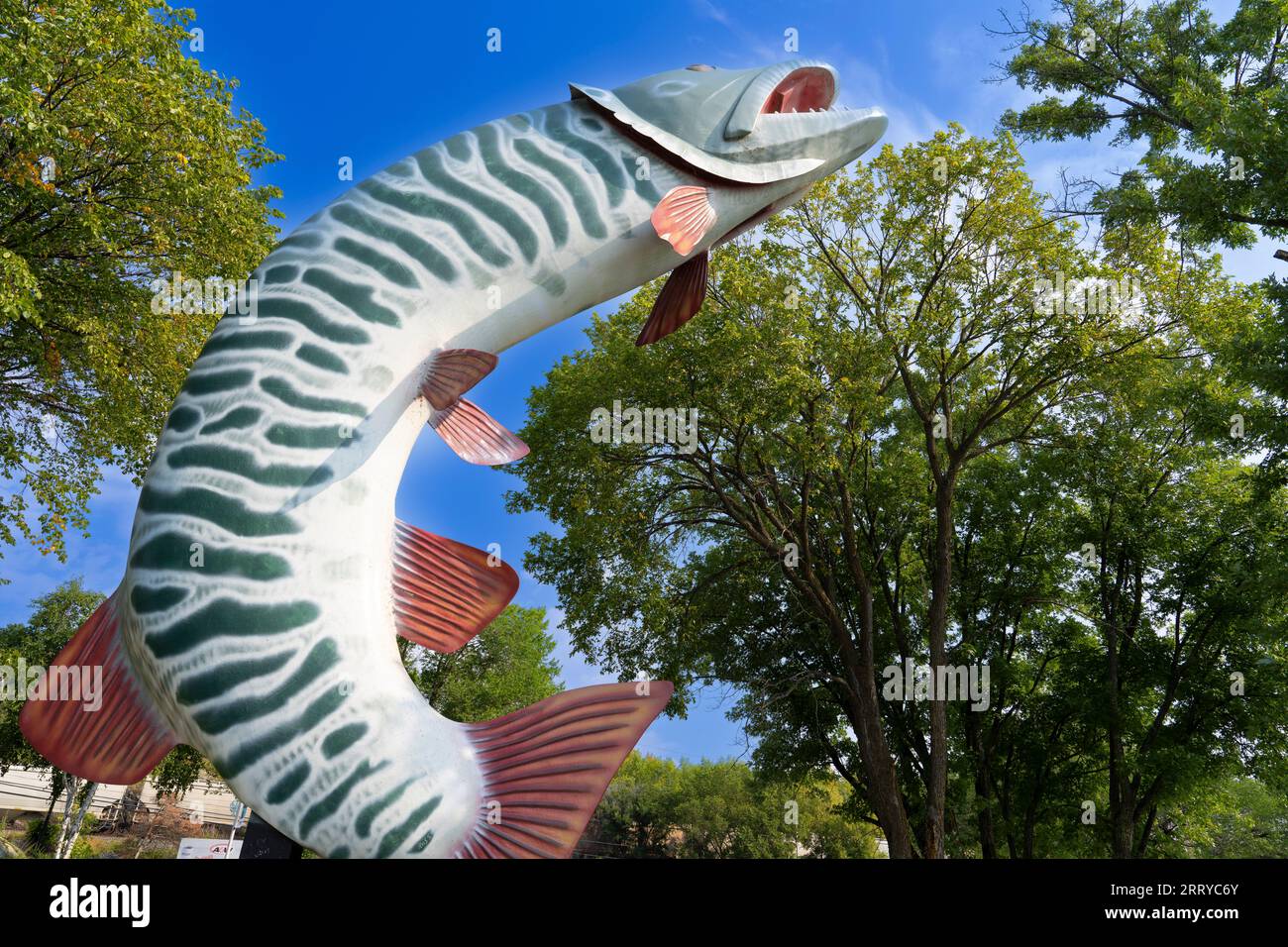 Husky the muskie hi-res stock photography and images - Alamy