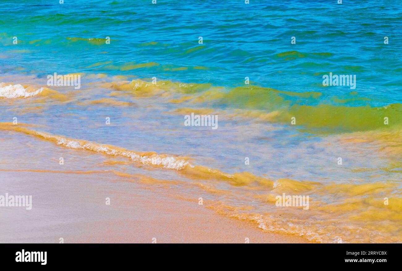 Waves turquoise blue water and sand at tropical mexican caribbean beach ...