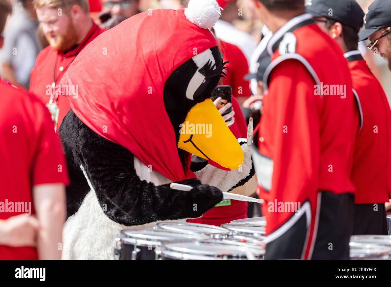 Penguin mascot hi-res stock photography and images - Alamy
