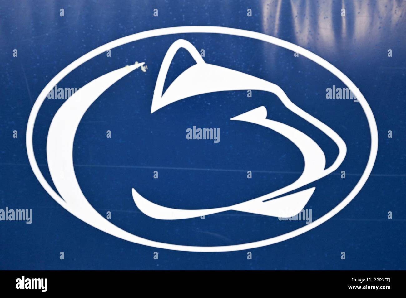 Blue Lion College Logo