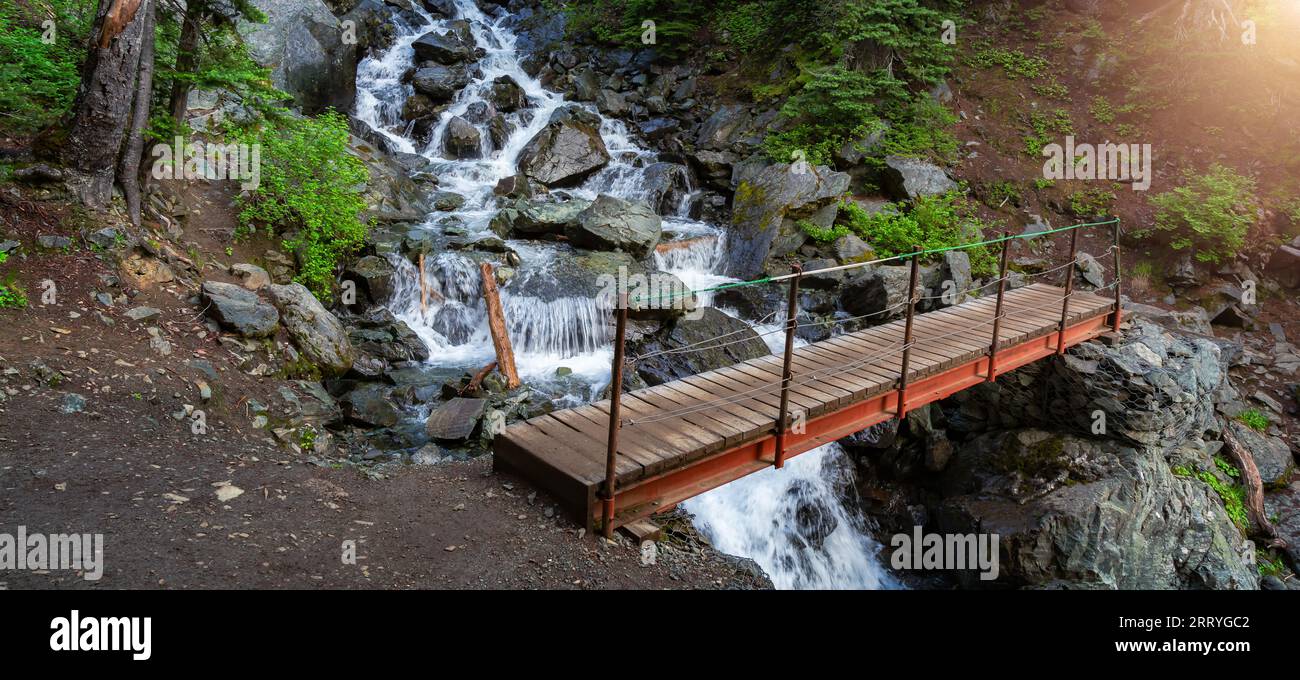 Hiking path and bridge across a river in the Canadian Nature mountains ...