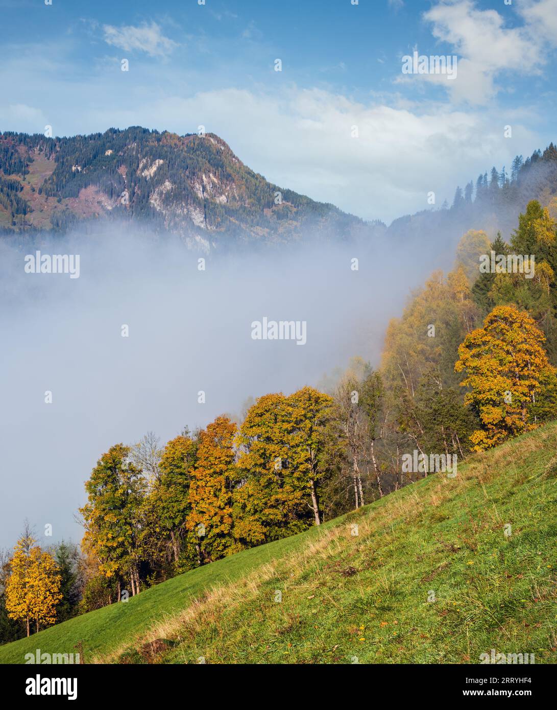 Sunny idyllic autumn alpine scene. Peaceful misty morning Alps mountain ...
