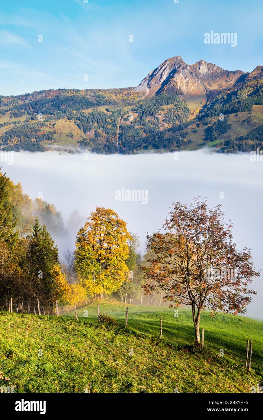 Sunny idyllic autumn alpine scene. Peaceful misty morning Alps mountain ...