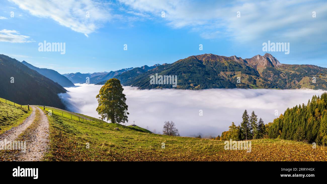 Sunny idyllic autumn alpine scene. Peaceful misty morning Alps mountain ...