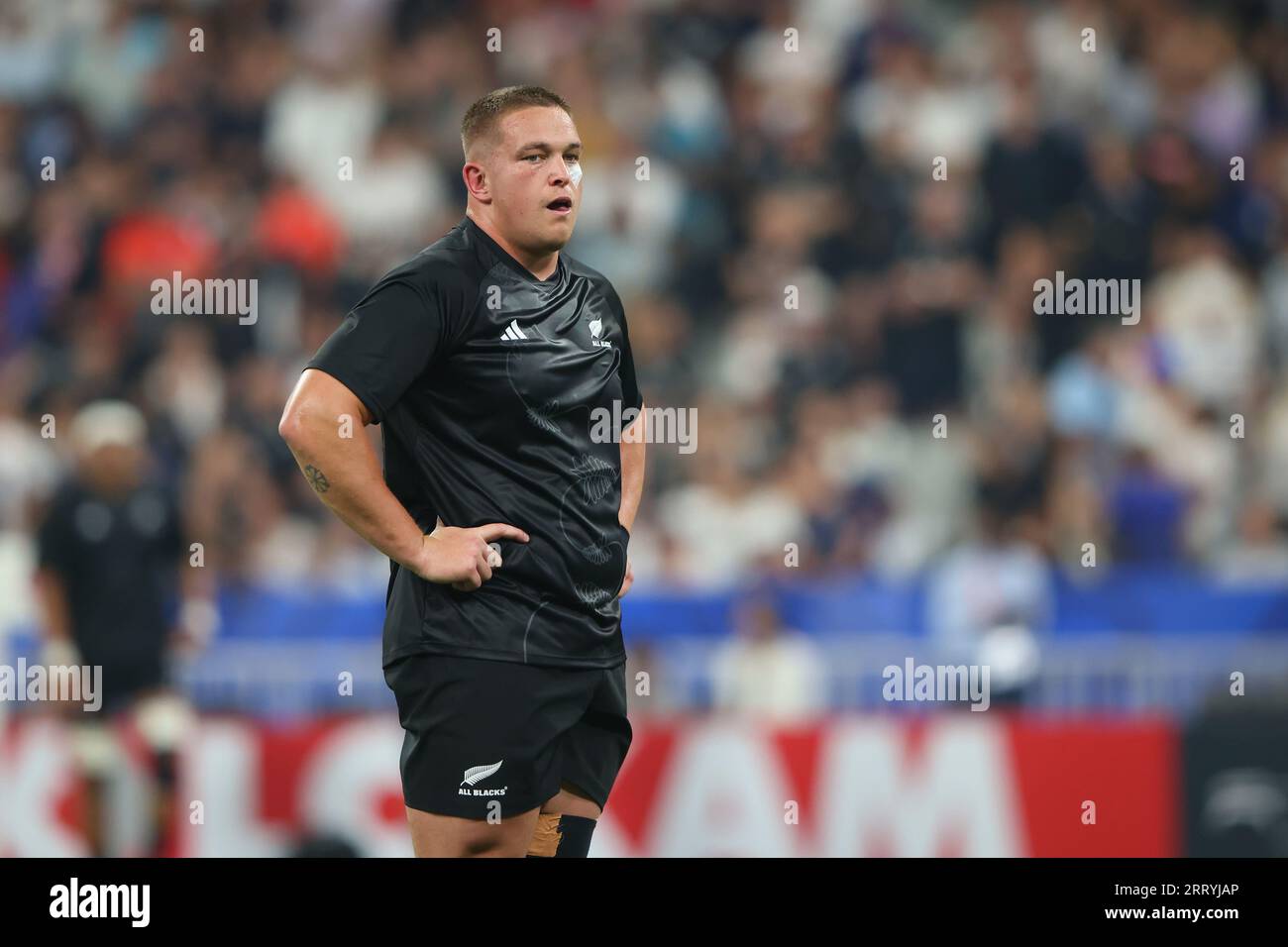 De groot v hi-res stock photography and images - Alamy