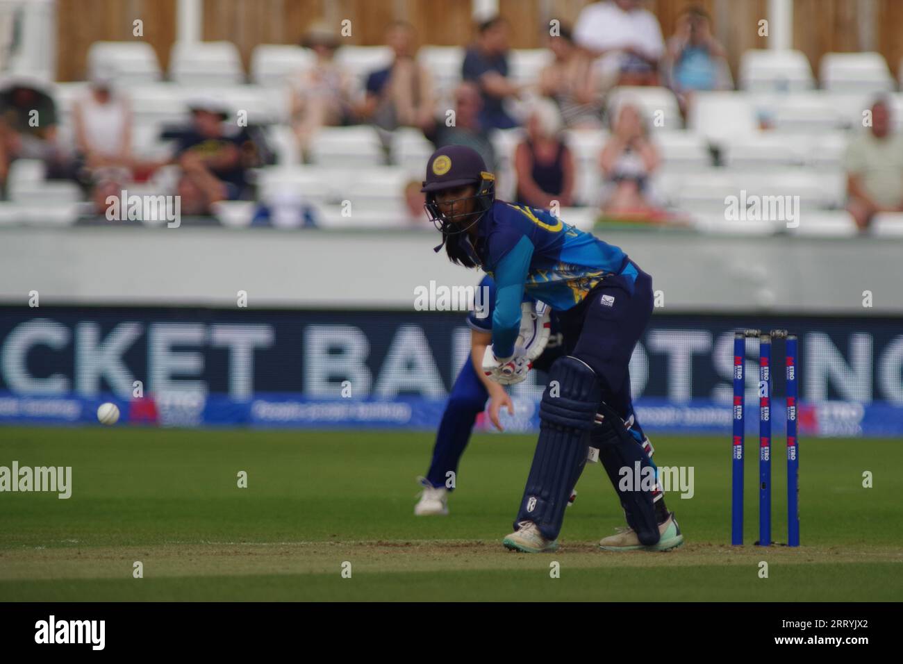 Vishmi gunaratne hi-res stock photography and images - Alamy