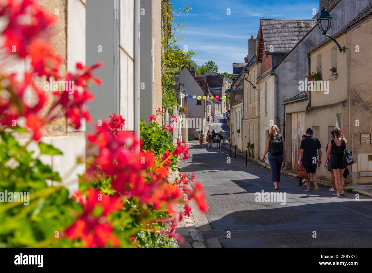 Amboise, Loire Valley, France - September 2, 2023: Wide view of Victor ...