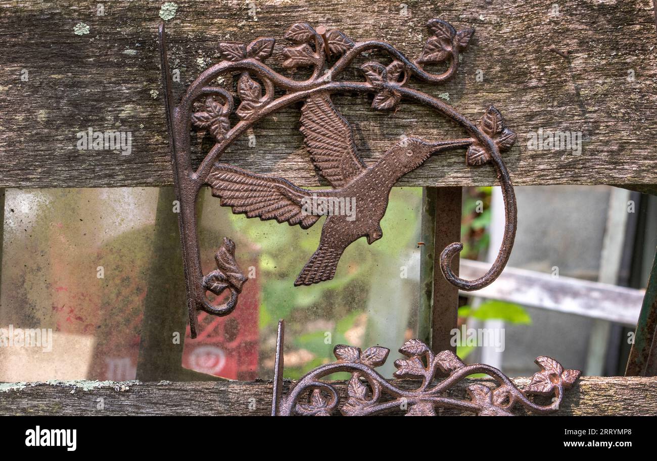 A metal hummingbird plant hanger is mounted to rustic wood, ready to ...