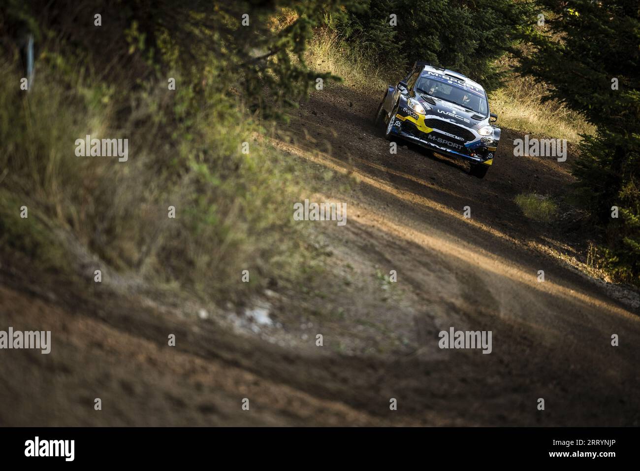 35 Robert VIRVES (EST), Craig DREW (GBR), FORD Fiesta MkII, RC2, Rally2 ...