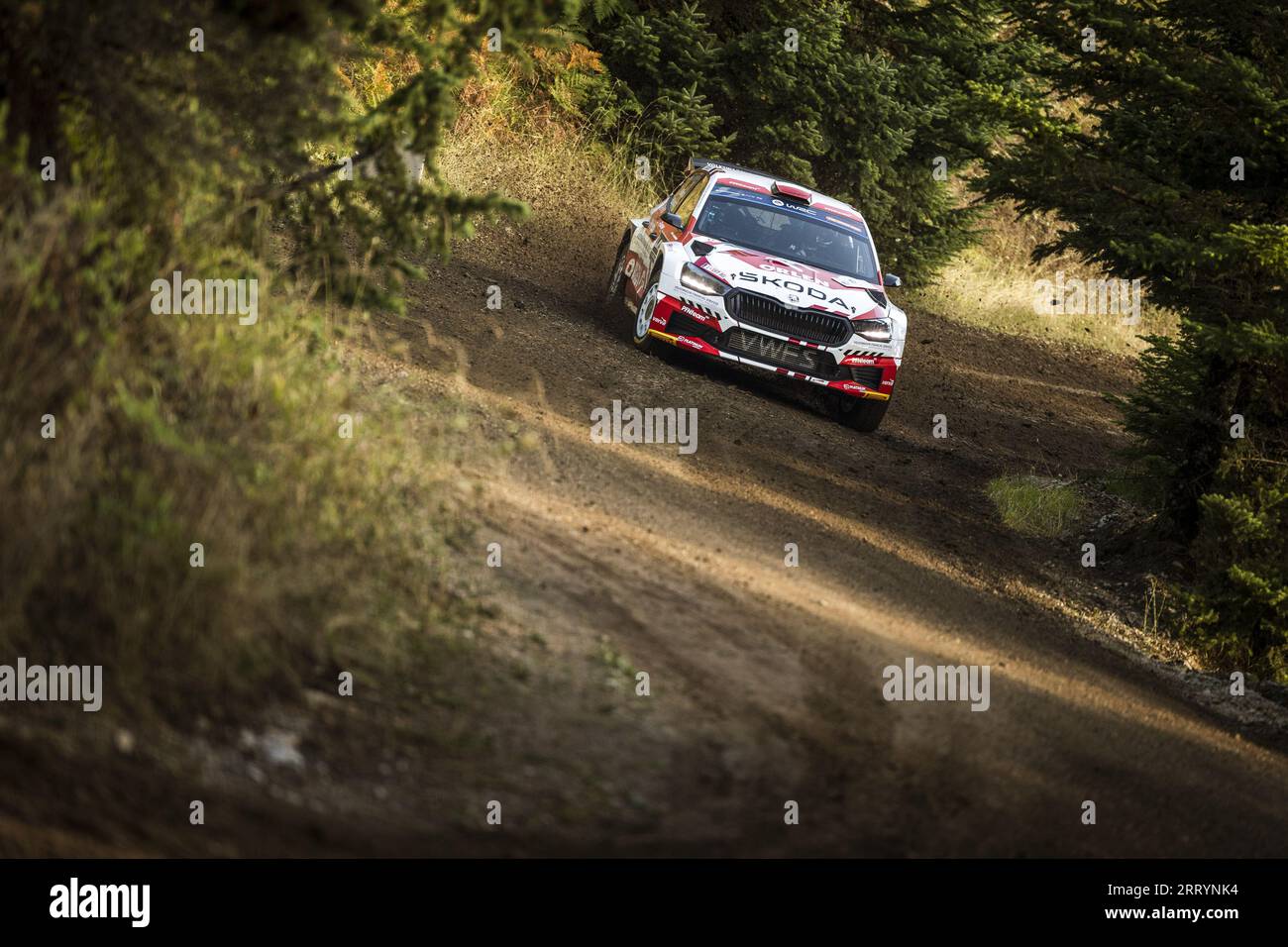 30 Miko MARCZYK (POL), Szymon GOSPODARCZYK (POL), SKODA FABIA RS, RC2, Rally2, action during the ...