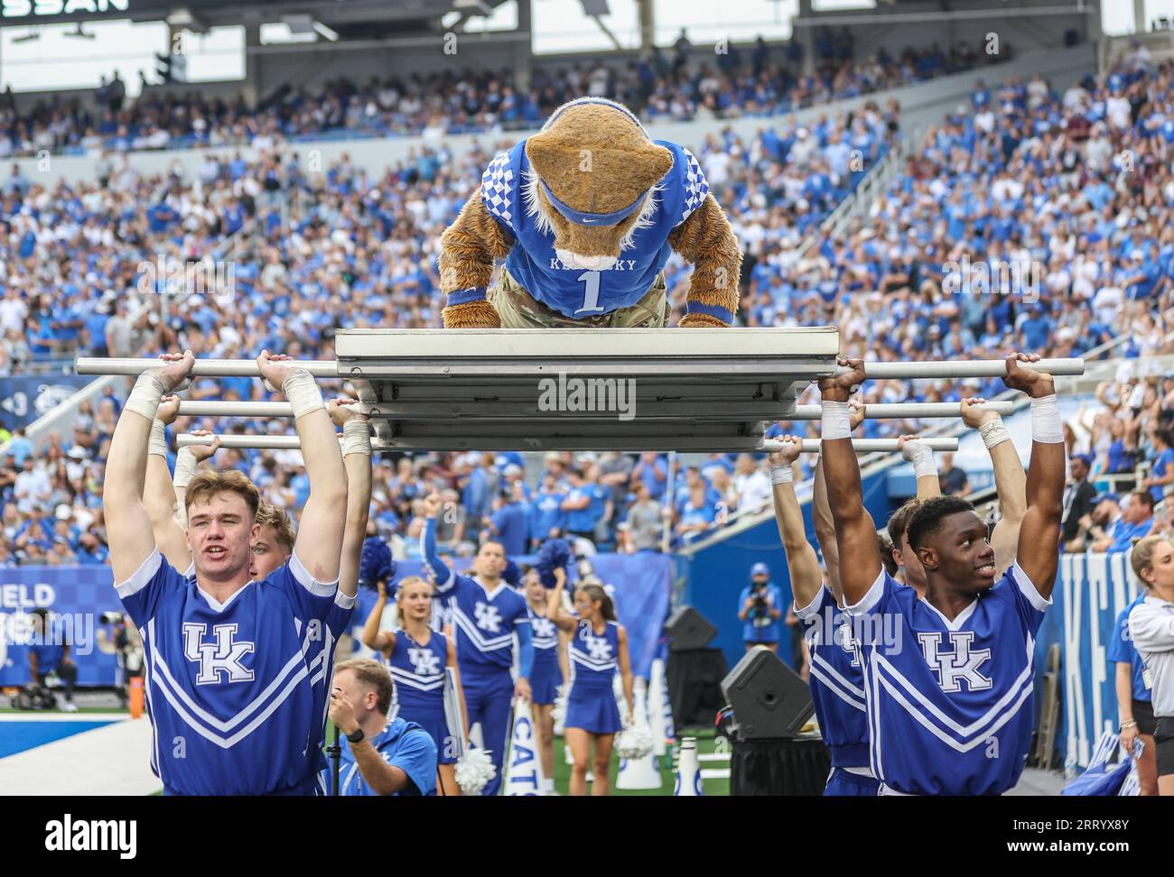 Lexington, KY, USA. 9th Sep, 2023. The Kentucky mascot does pushups ...