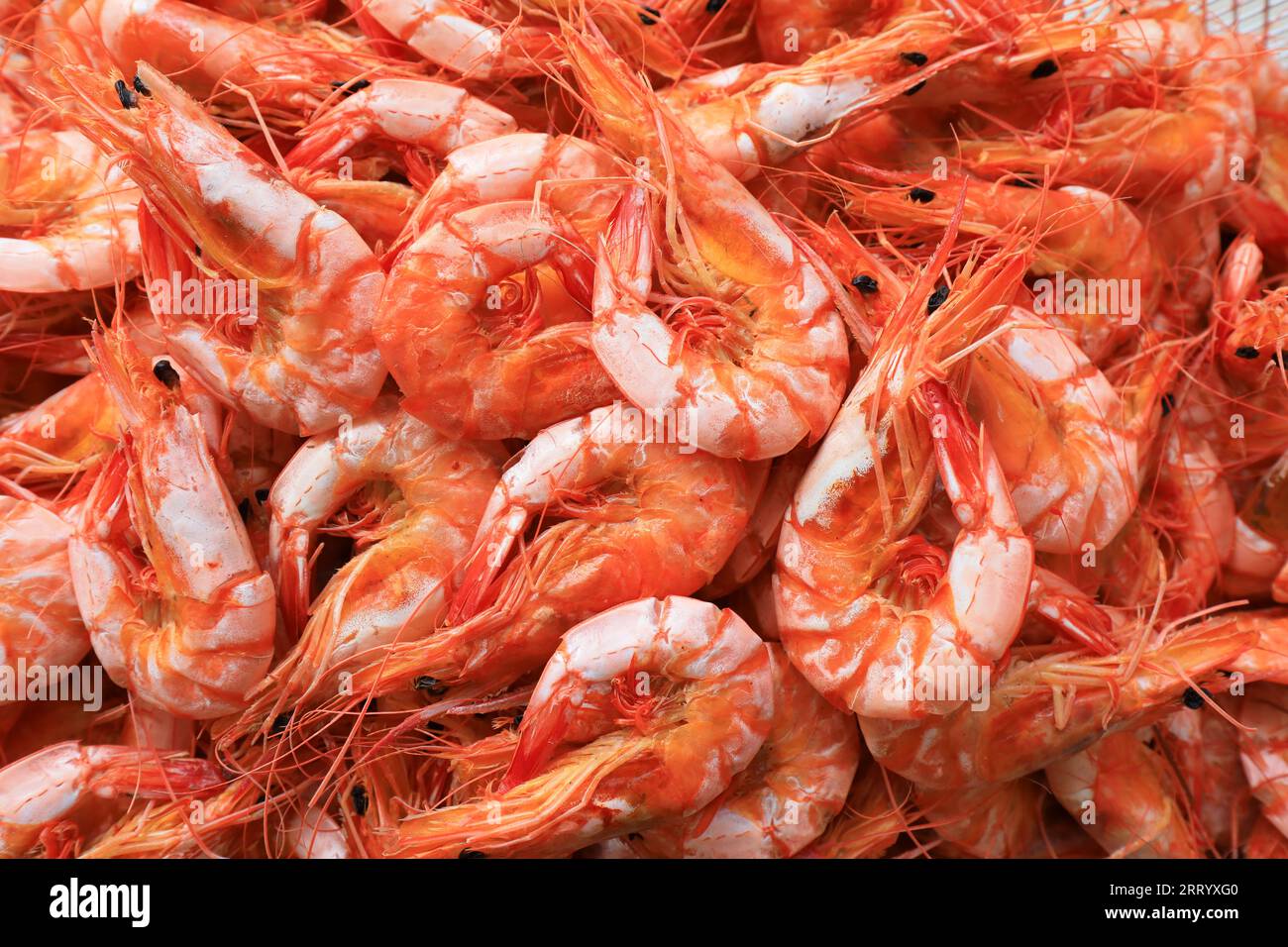 Dried prawns hi-res stock photography and images - Alamy