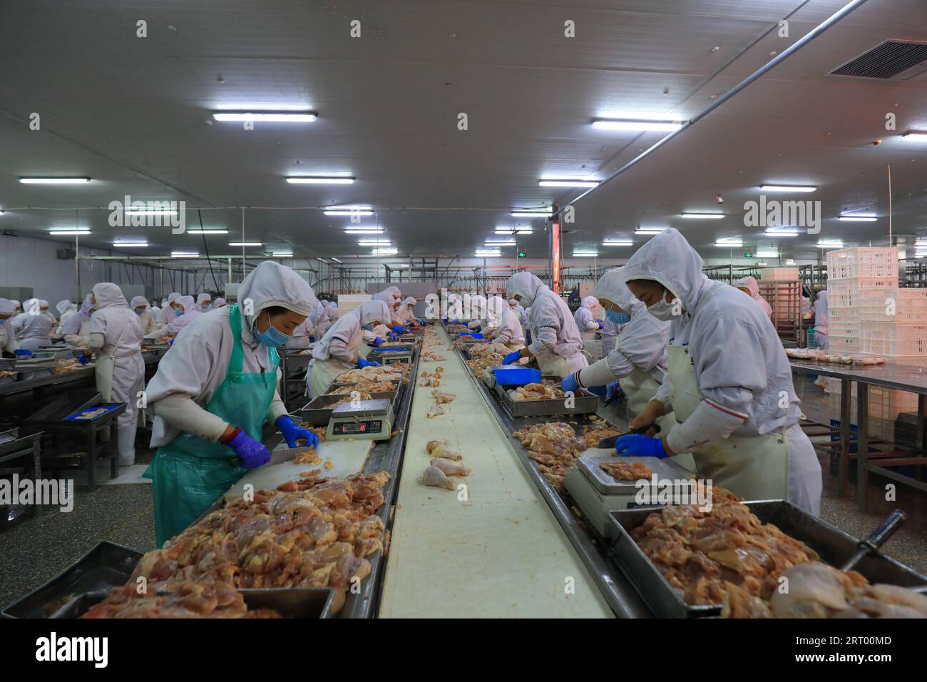 LUANNAN COUNTY, Hebei Province, China - September 14: The workers are ...