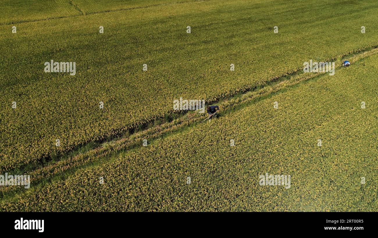 Northeastern Plain