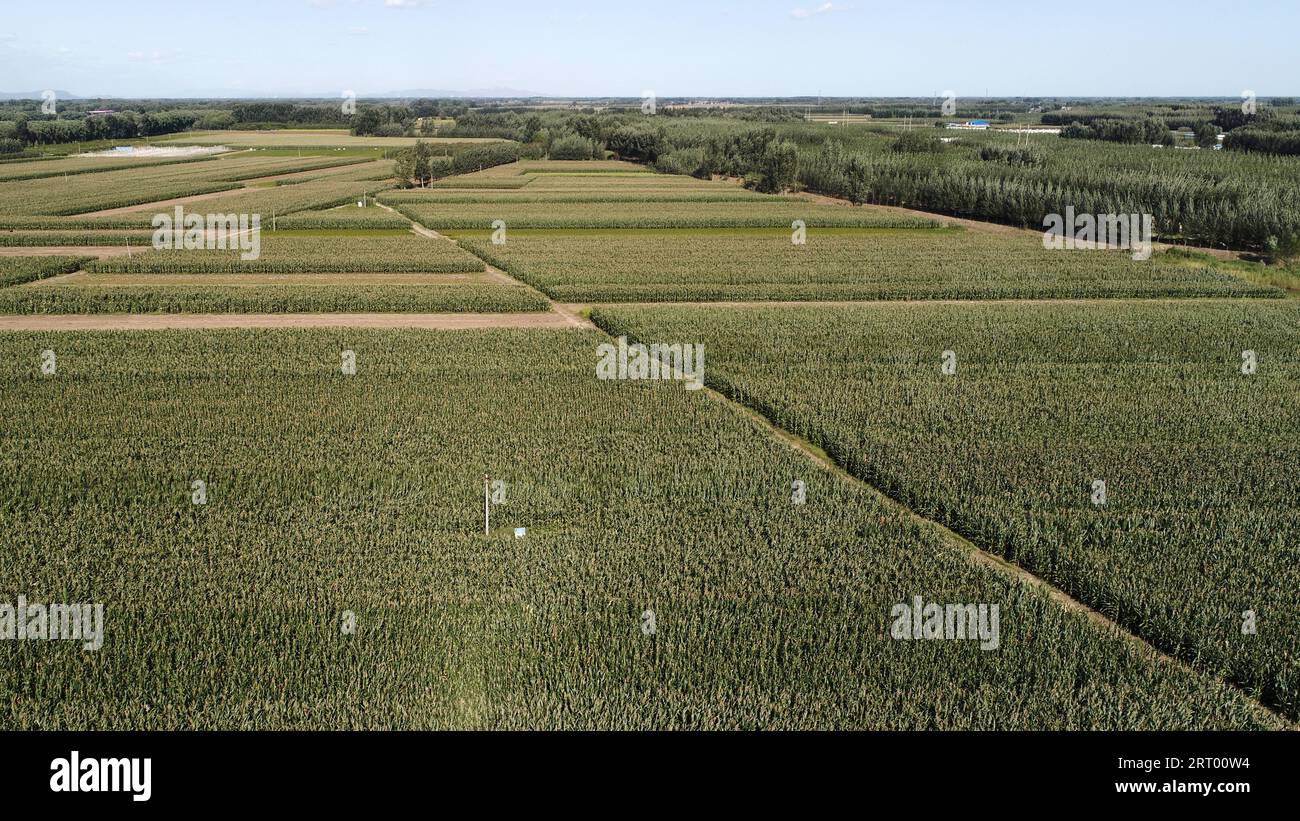 Overlooking corn crops hi-res stock photography and images - Alamy