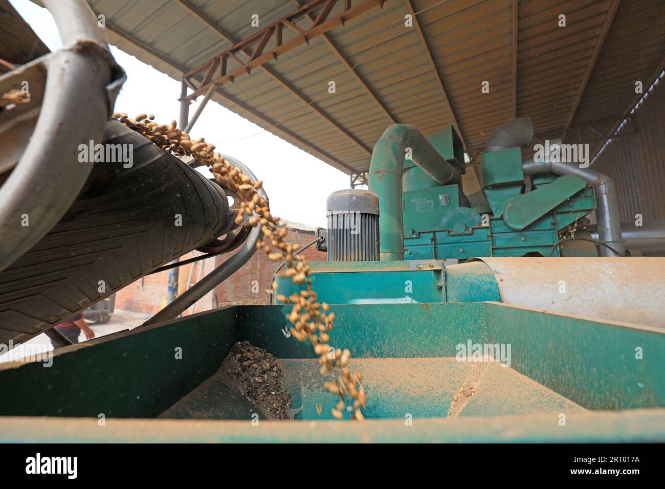 Peanut processing machinery in operation, North China Stock Photo - Alamy