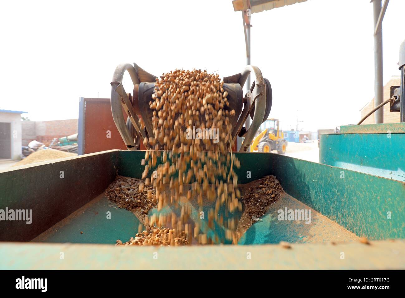 Peanut processing machinery in operation, North China Stock Photo - Alamy