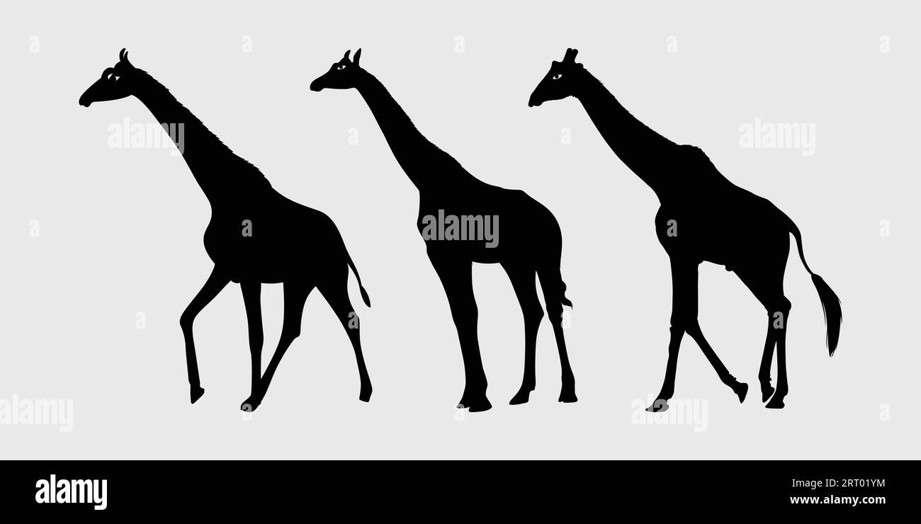 giraffe black silhouette, giraffe vector outline design, Giraffe vector ...