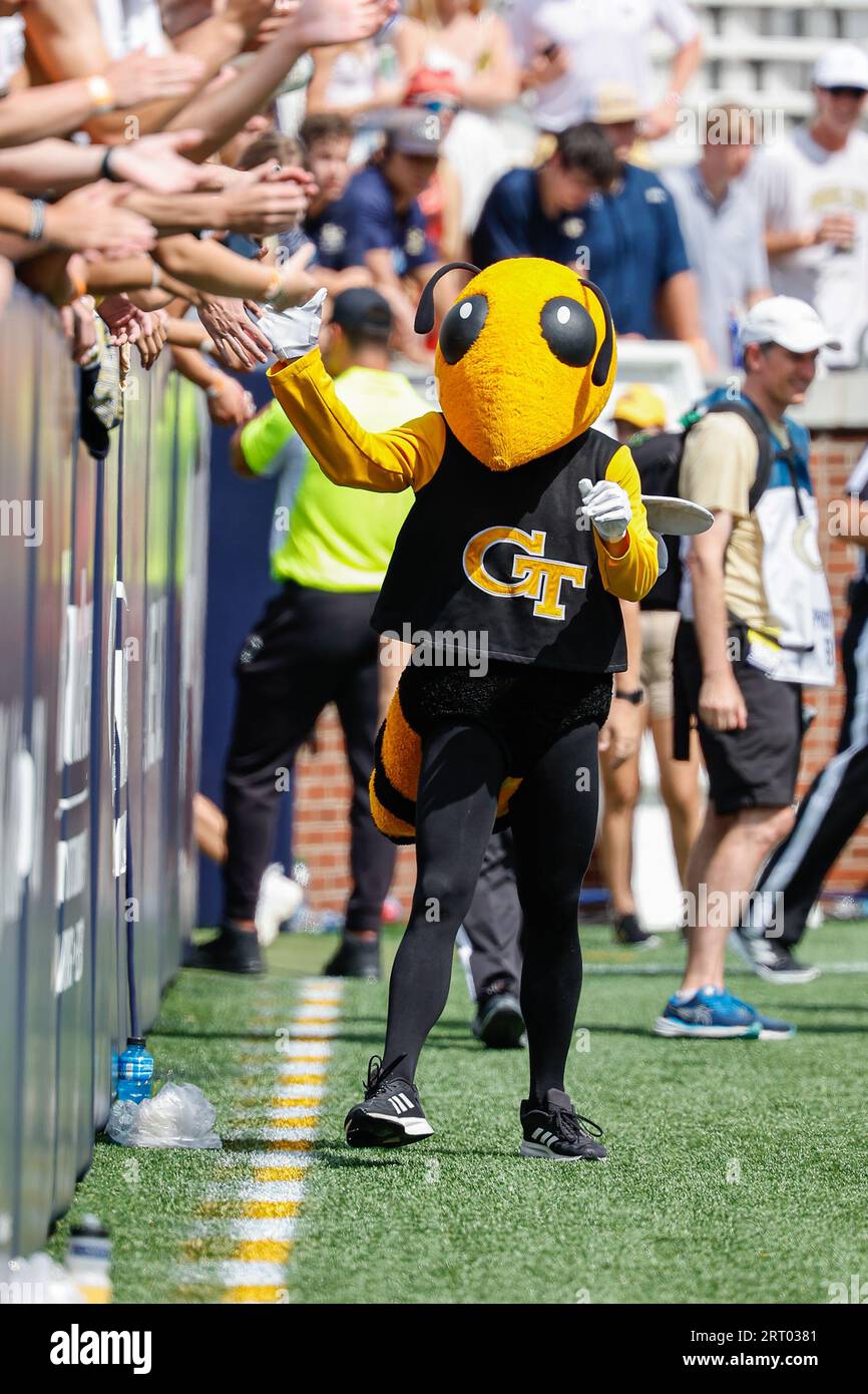 Georgia bulldogs mascot hi-res stock photography and images - Alamy