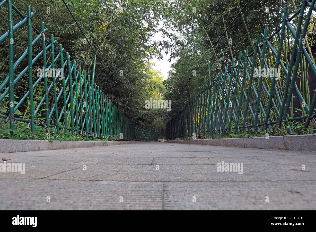 Bamboo corridor architectural landscape in the park, Beijing Stock ...