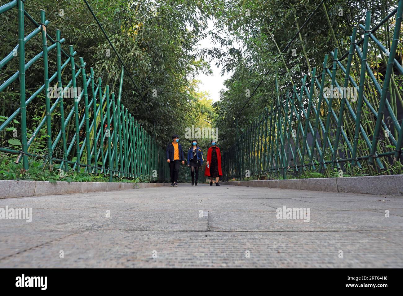 Bamboo corridor architectural landscape in the park, Beijing Stock ...