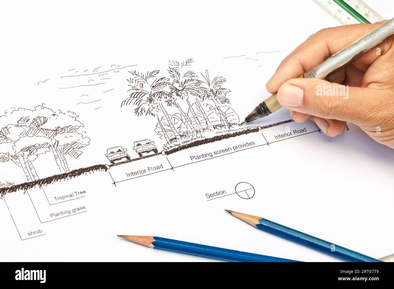 Landscape architect design section plan Stock Photo - Alamy